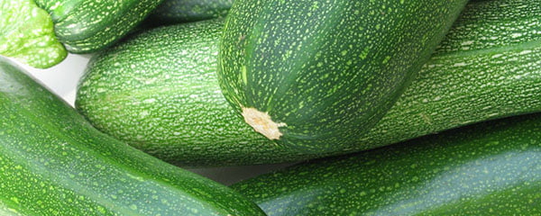 Bí Xanh tươi ngon - Thực Phẩm Đồng Xanh