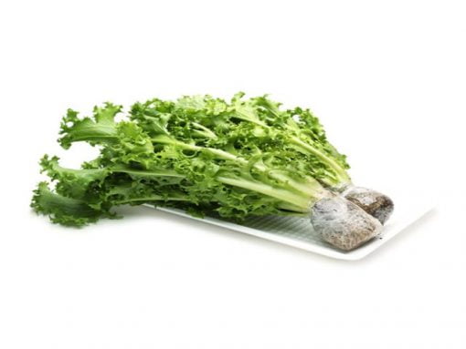 Salach Frise tươi ngon giá tốt - Thực Phẩm Đồng Xanh